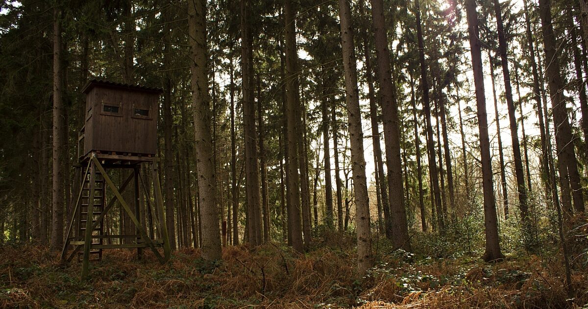 Maidbronn: Mann sorgt mit Ritual für… | Radio Charivari Würzburg